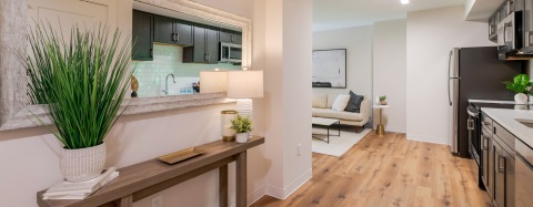 Studio, 1, or 2 bedroom apartments in Danbury | Residences at The Summit